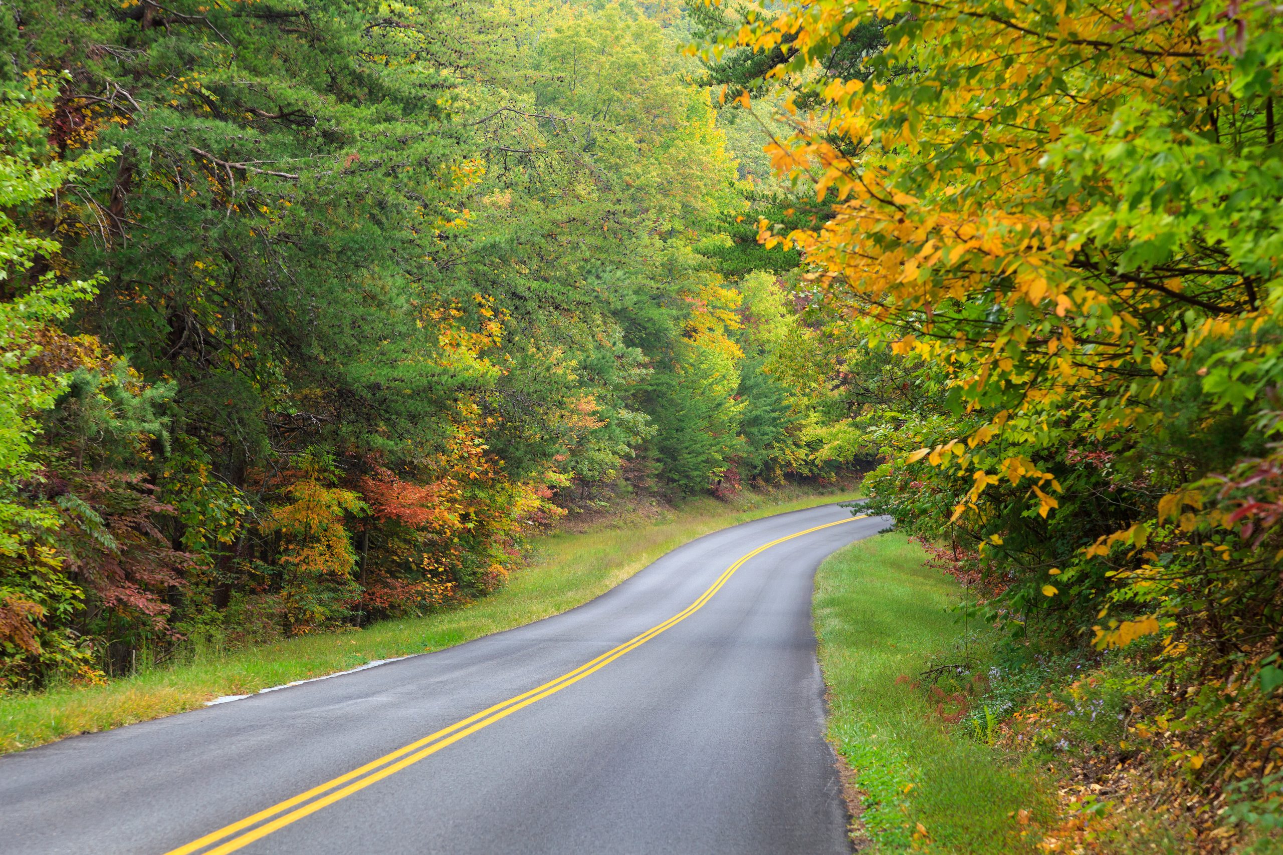 Foothills Parkway in the Great Smoky Mountains | The Pineola Python 181 ...