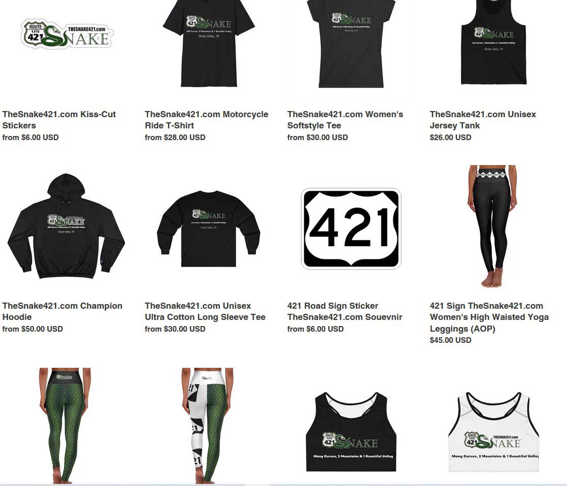 online-store-mockup | The Pineola Python 181 Motorcycle Ride